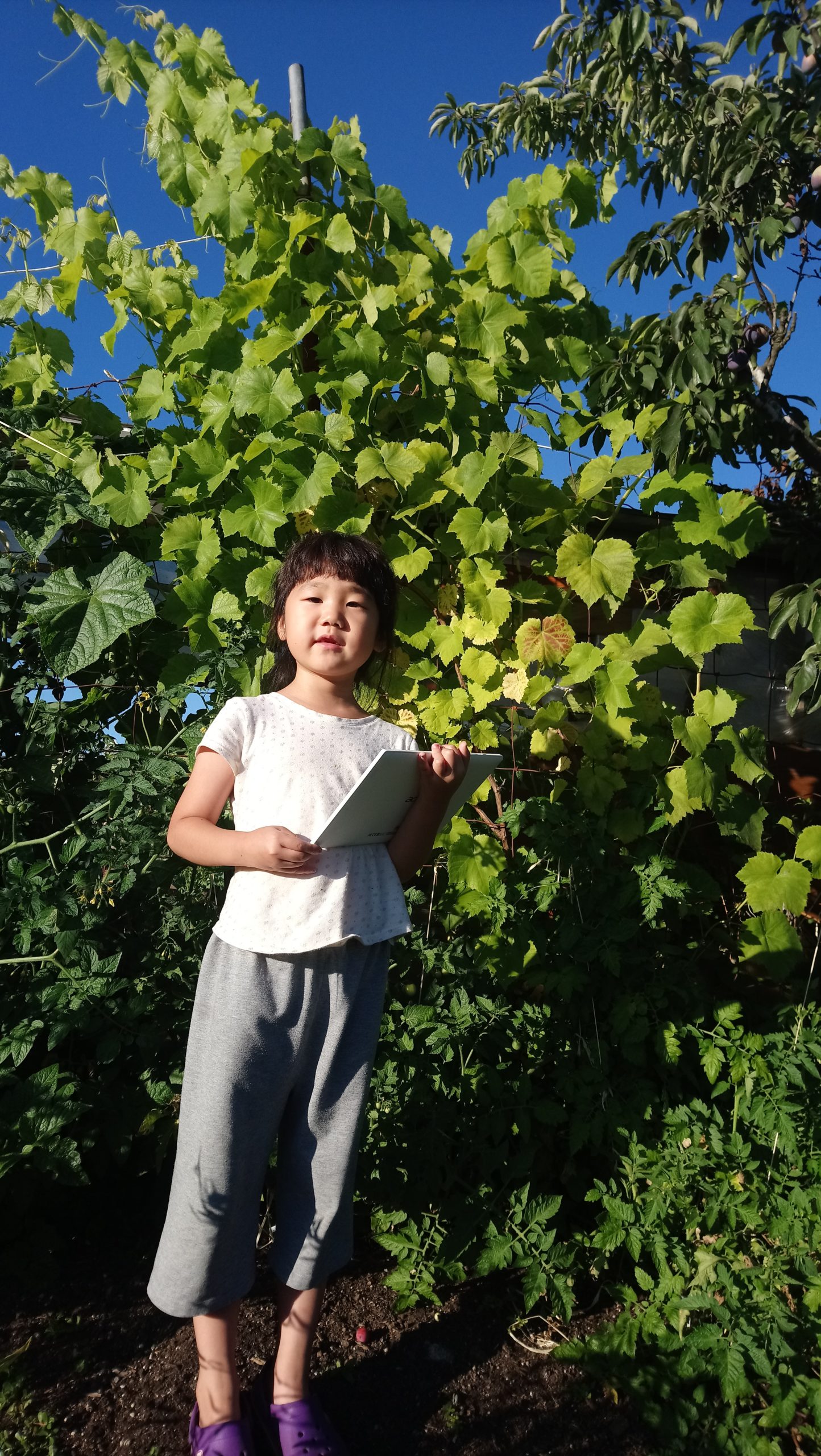 Updates | Emet Tae-Yoon Han Is Arriving! | Just another Han being added ...